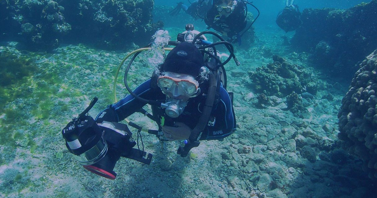 PADI Specialty Courses and Master Scuba Diver in Aqaba, Jordan | Arab ...